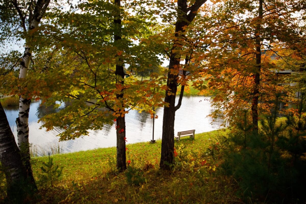 Lyndon Campus - Vermont State University