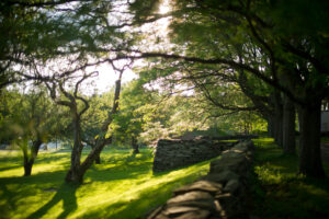 Randolph Campus - Vermont State University