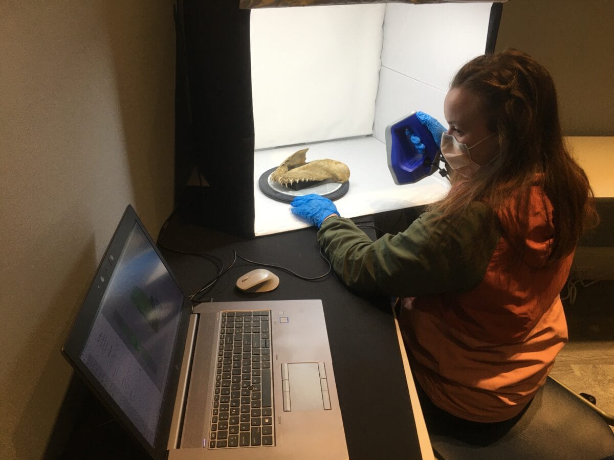 3D Technology - Vermont State University