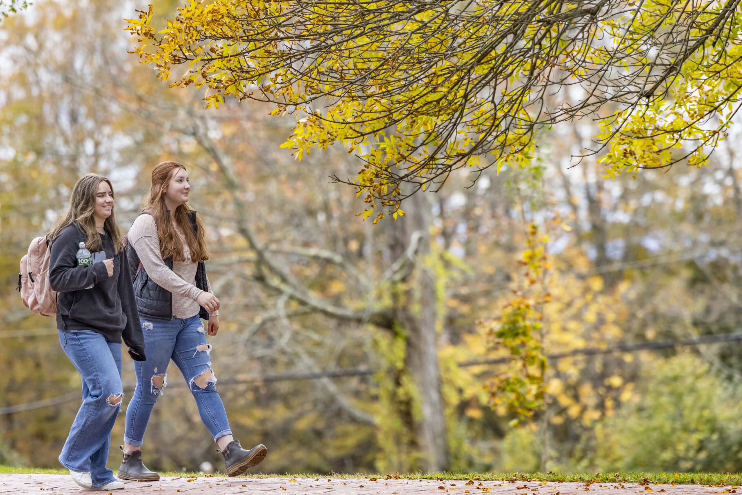 Apply to Vermont State - Vermont State University